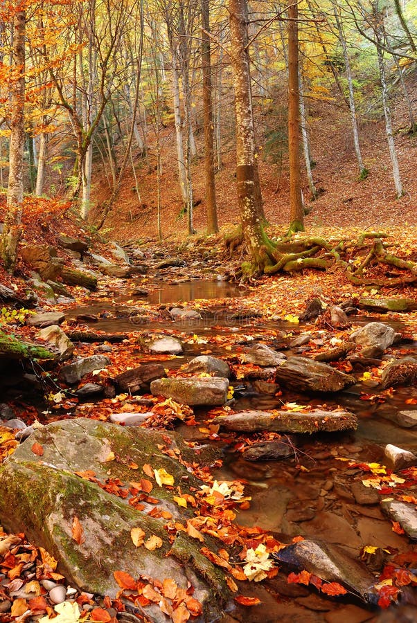 Colored stream stock image. Image of foliage, mountain - 18186369