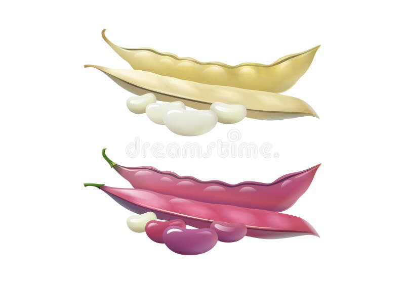 Colored String Beans, Set of Two, Gradient Illustration Stock ...
