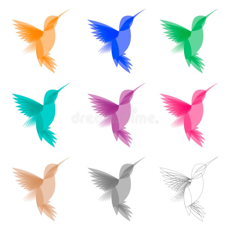 Colored stylized colibri stock vector. Illustration of ambition - 51714608