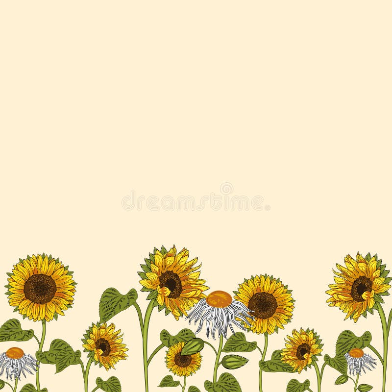 Colored Sunflower Frame Flower Border Vector Stock Vector ...