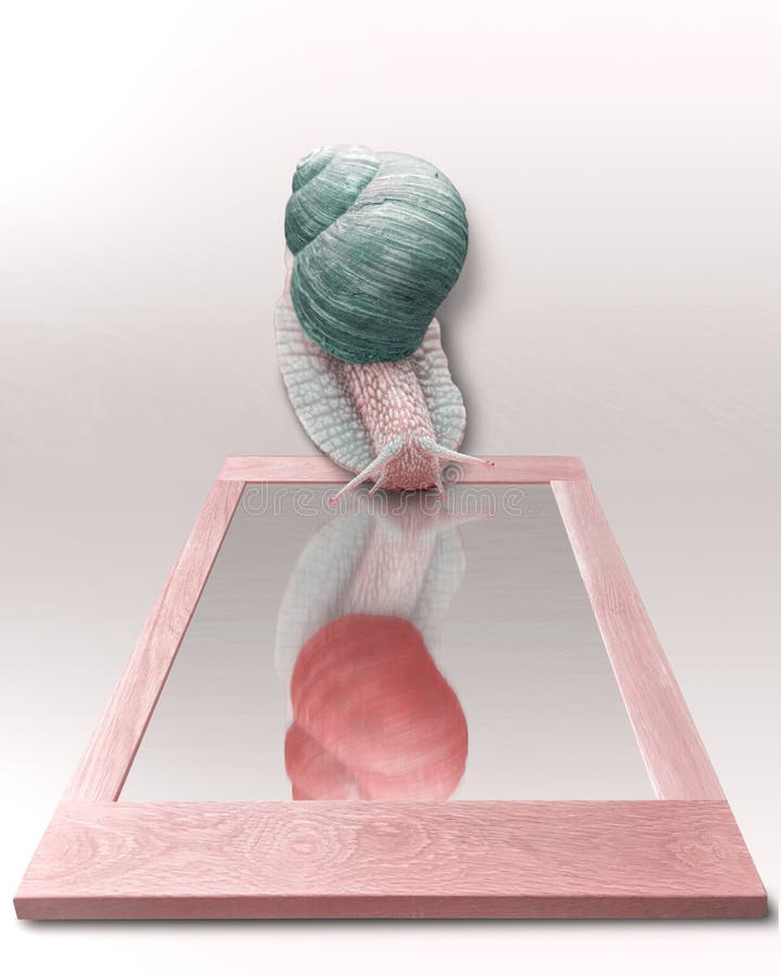 Colored Surreal Snail Mirrors in a Wooden Mirror, White Background ...