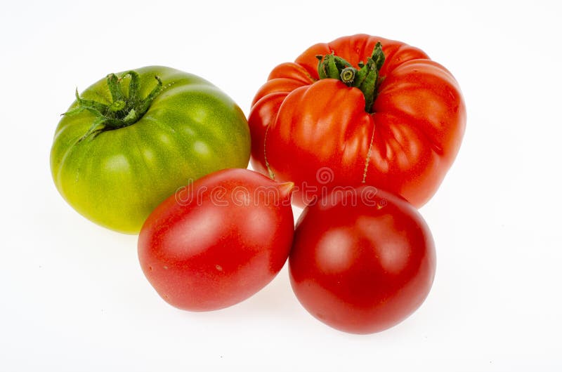 Colored Tomatoes of Different Varieties on White Background. Studio ...