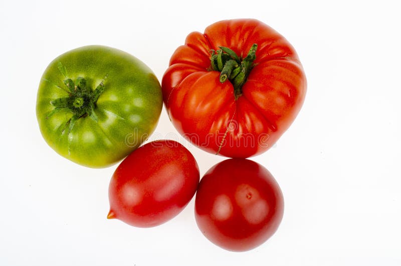 Colored Tomatoes of Different Varieties on White Background. Studio ...