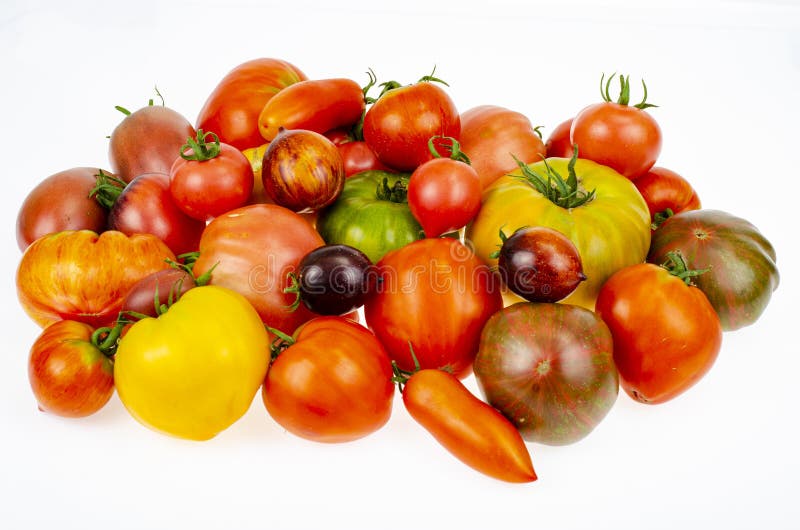 Colored Tomatoes of Different Varieties on White Background. Studio ...