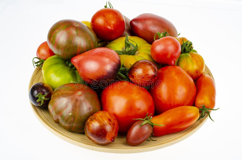 Colored Tomatoes of Different Varieties on White Background. Studio ...