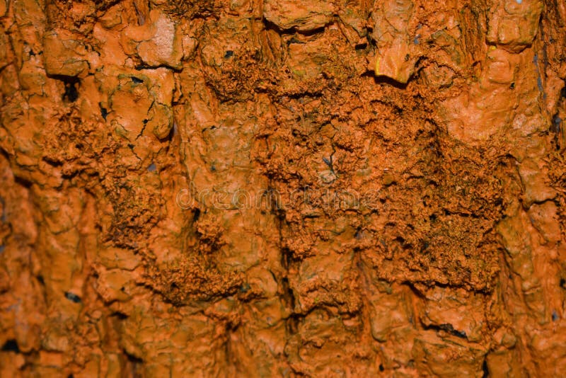 Colored tree bark texture stock image. Image of forestincolours - 191708635