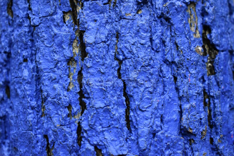 Colored tree bark texture stock image. Image of backgroundnatural ...