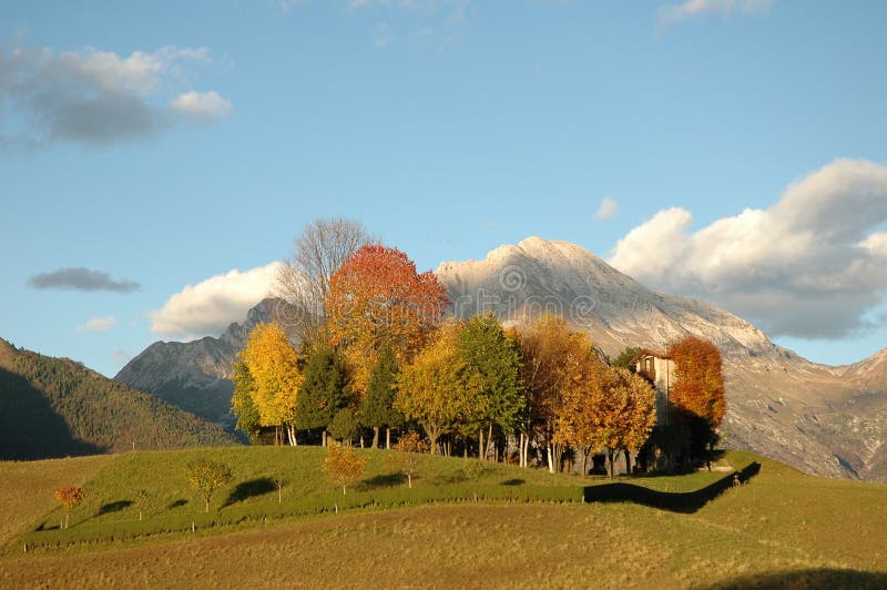 Colored trees stock image. Image of nature, autumn, oasis - 124886917