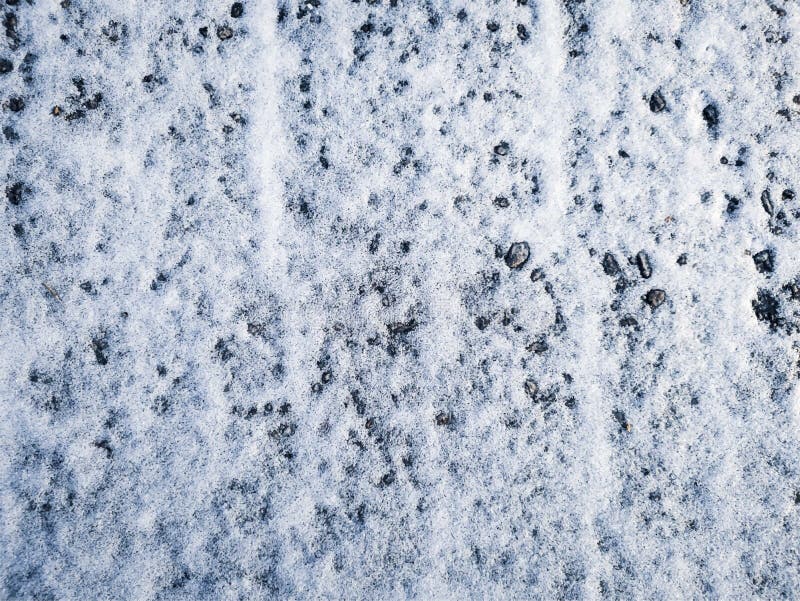 Colored Vector Grunge Texture of a Small Layer of Snow on the Asphalt ...