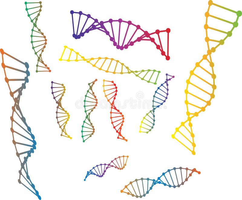 Colored Vector Illustration of Dna Model Stock Vector - Illustration of ...