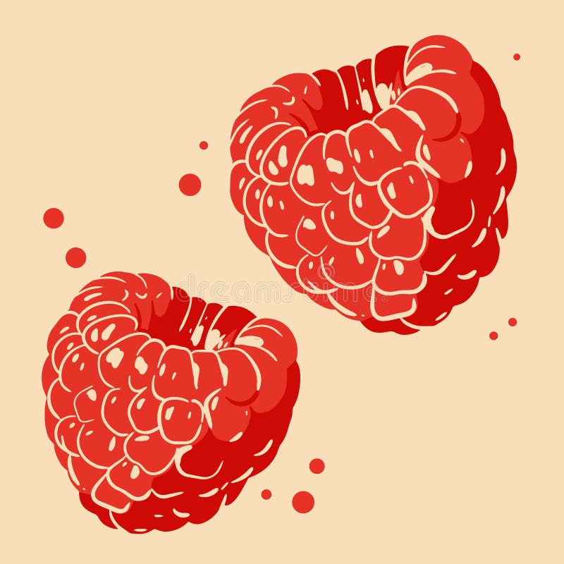 Colored Vector Illustration of Raspberry. Stock Vector - Illustration ...
