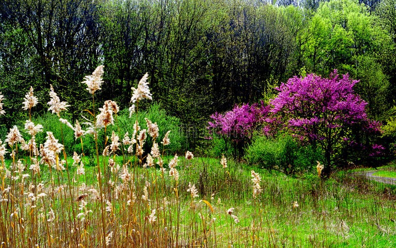 Colores De Mayo Imagen. Imagen: 4633740