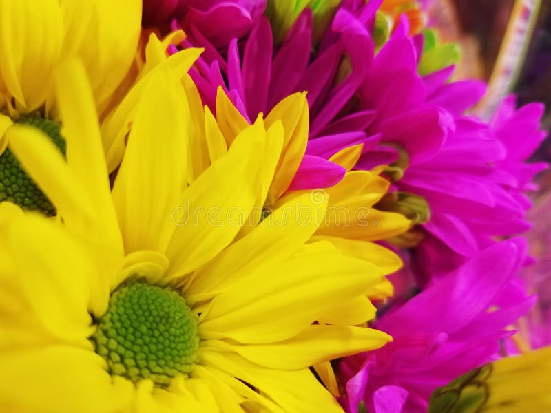 Colores del amor imagen de archivo. Imagen de valentina - 1773987