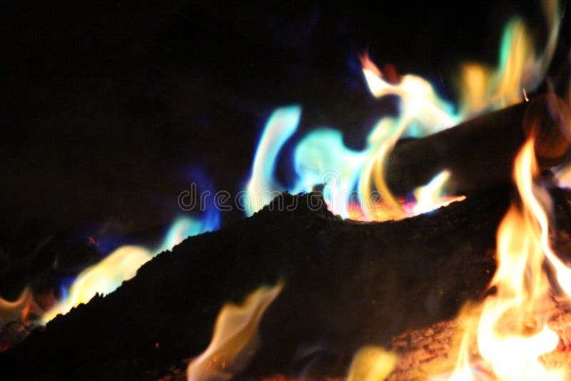 El fuego de los colores imagen de archivo. Imagen de flor - 197172041