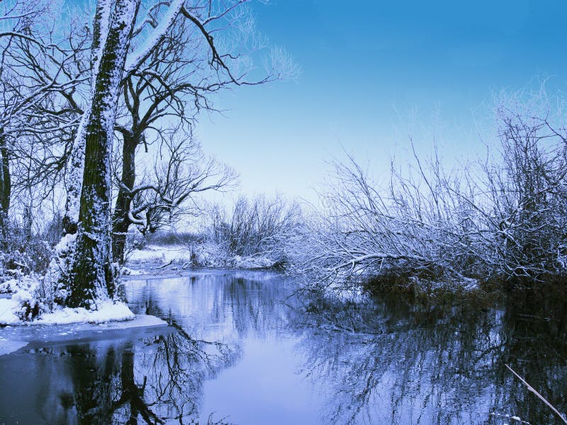 Colores del invierno imagen de archivo. Imagen de camino - 462751