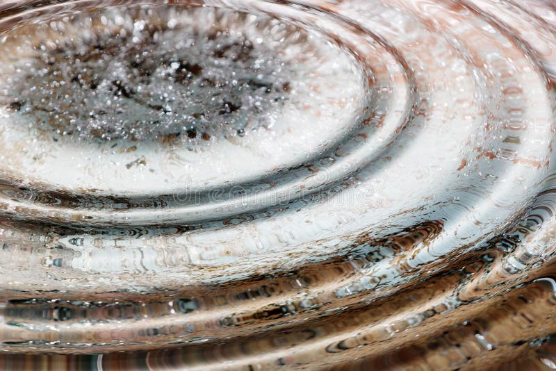 Sea shell Abstract stock photo. Image of south, cape - 52785024