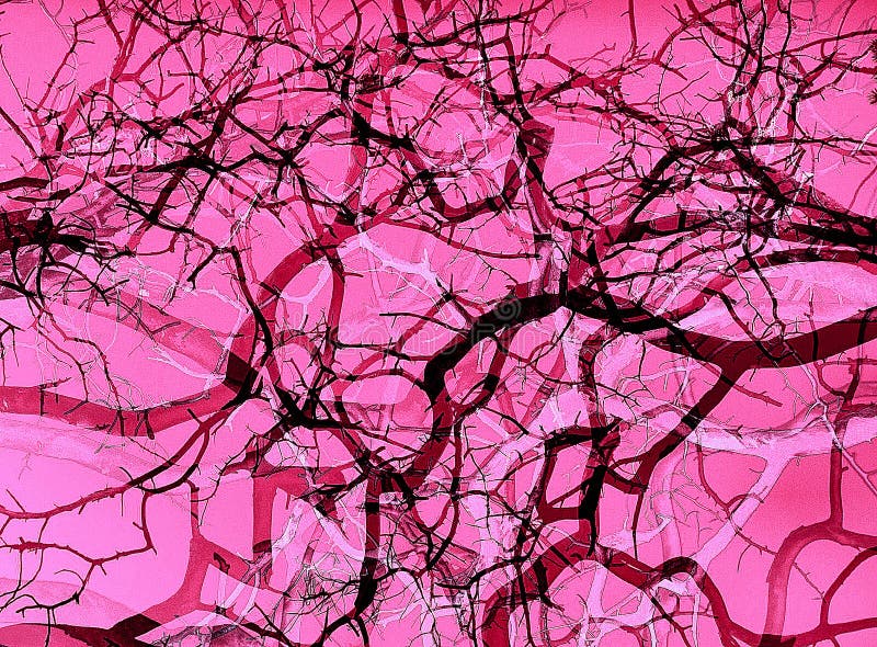 Pattern Overwrite Stock Illustrations – 8 Pattern Overwrite Stock ...