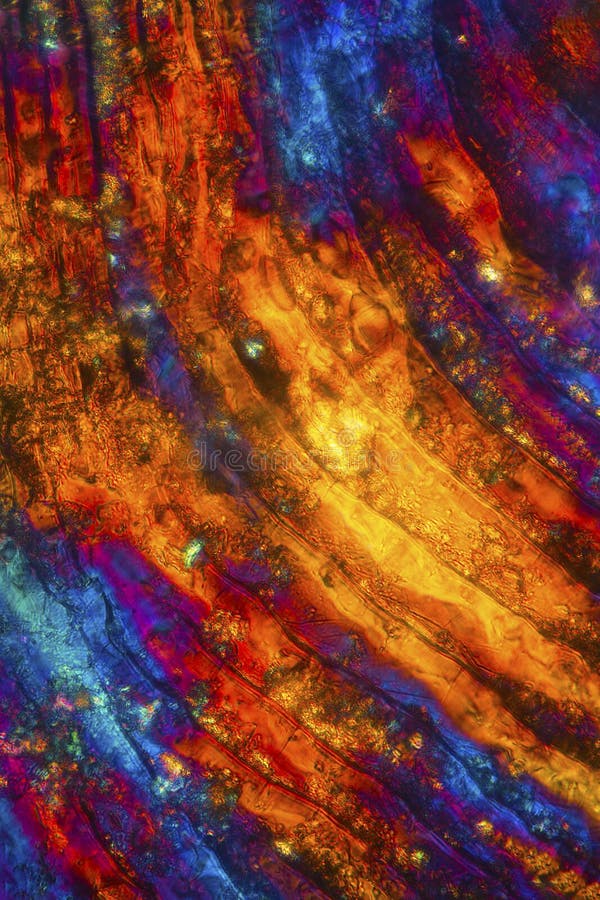 Abstract Micrograph of a Fish Scale from a Yellowfin Tuna Stock Photo ...