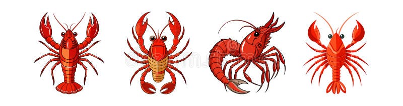 Colorful Acetes Crustacean Realistic Artwork Stock Vector ...