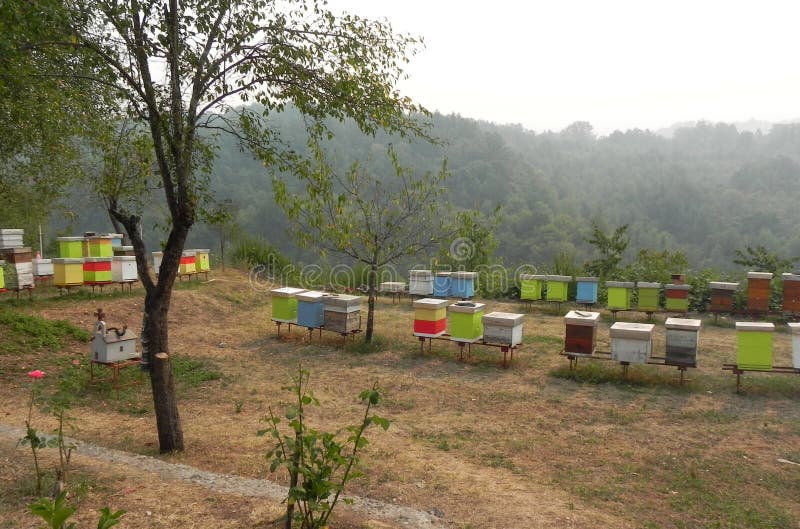 Colorful Apiary in the Mountains Stock Photo - Image of apiary, mead ...