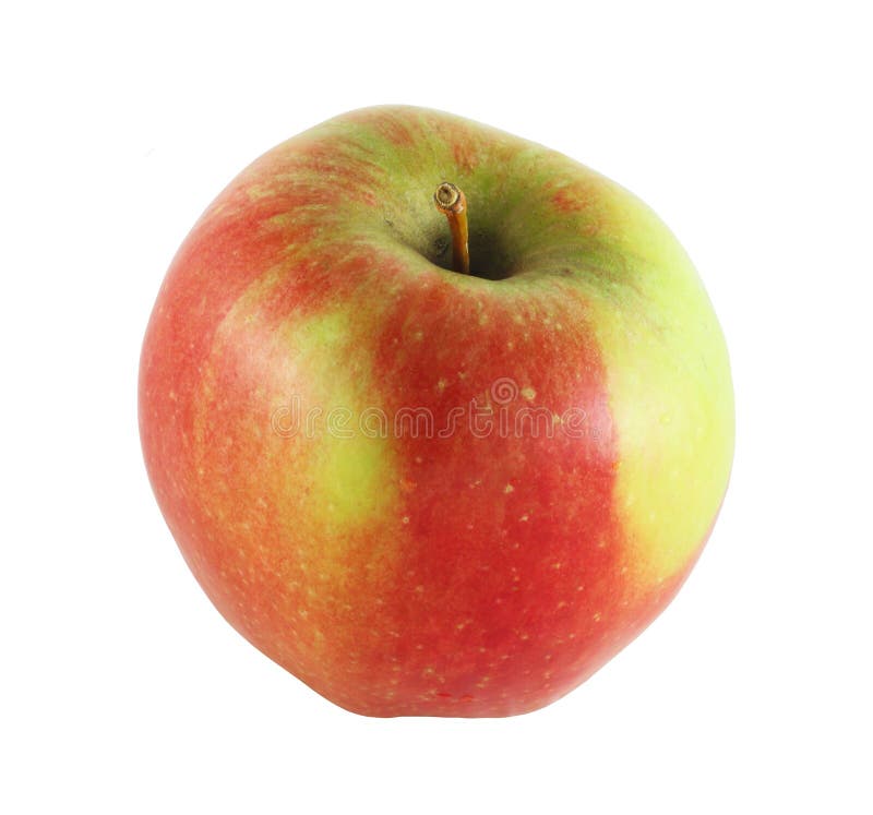 Colorful apple stock photo. Image of color, background - 24015920