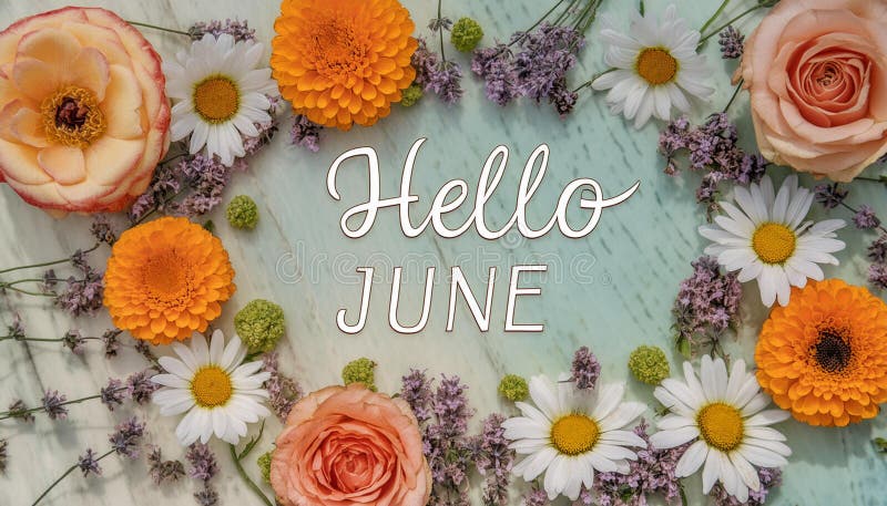 A Colorful Arrangement of Flowers with the Words "Hello July Stock ...