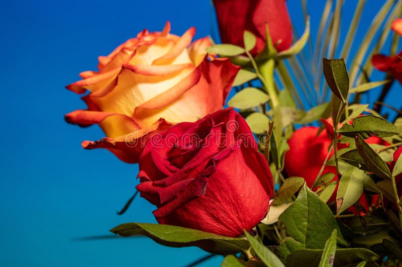 Colorful Array of Silk Fabrics Hanging from Wooden Poles in a Vibrant ...