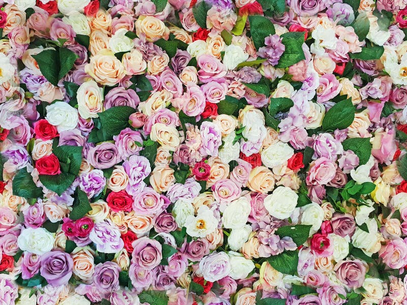 Colorful Artificial Roses As a Seamless Stock Photo - Image of ...