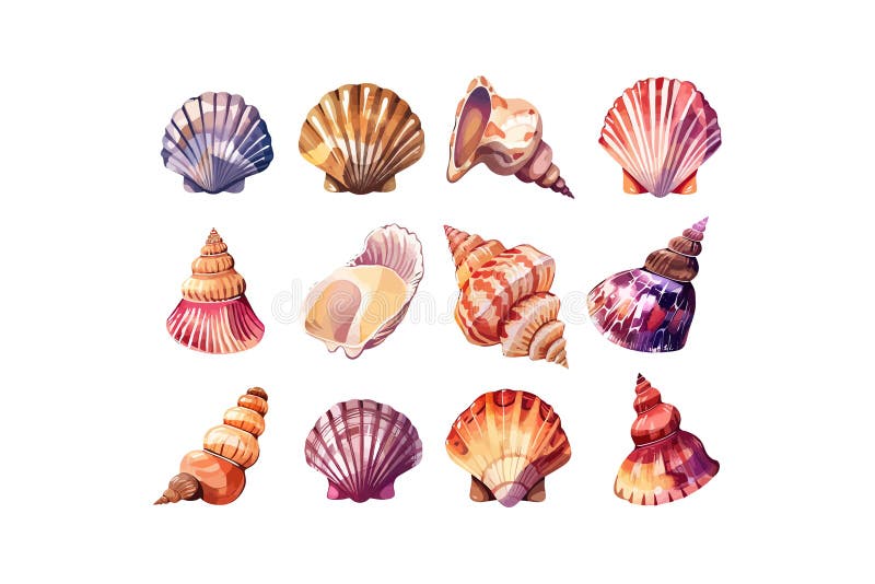 Colorful Assortment of Illustrated Seashells. Vector Illustration ...