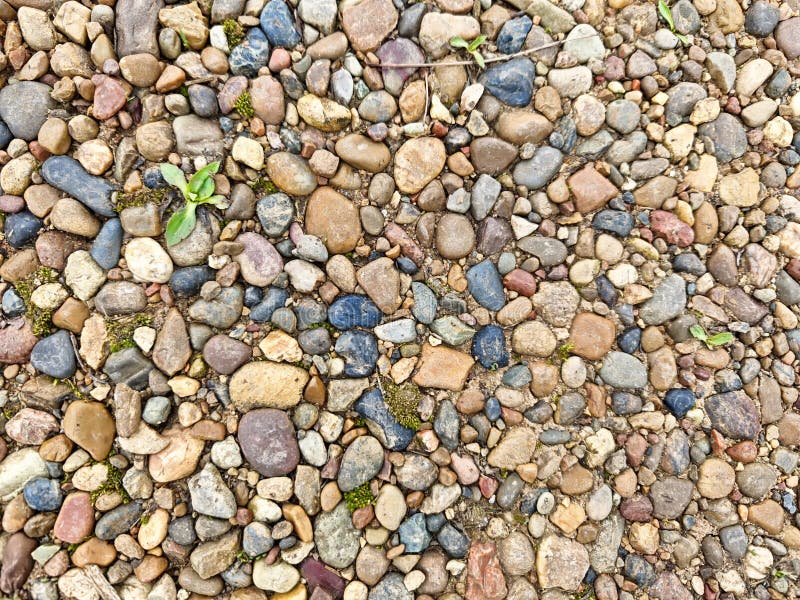 Colorful Assortment of Pebbles in a Natural Setting Showing Various ...