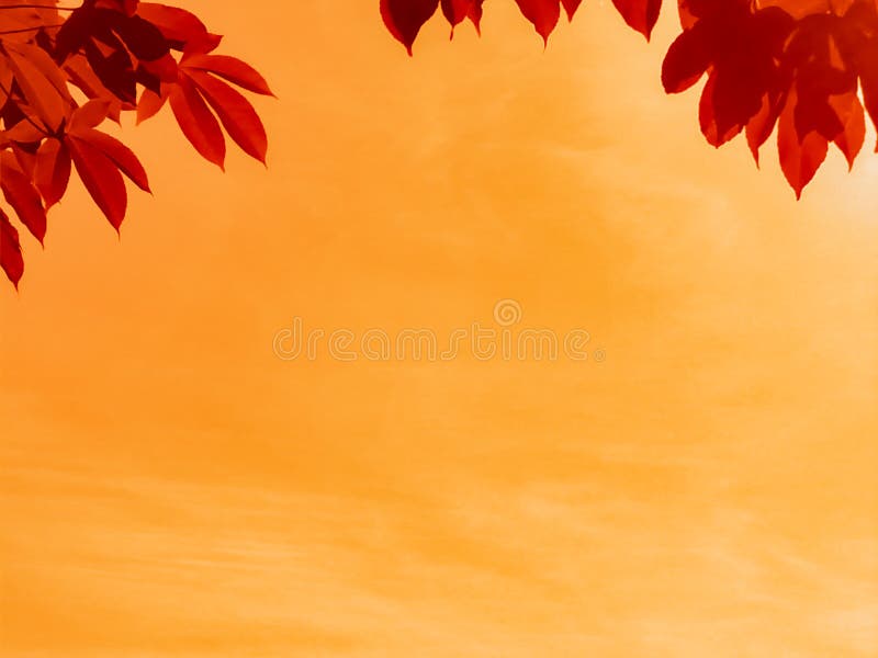 Colorful Autumn Art Background, Orange Tone. Stock Image - Image of ...