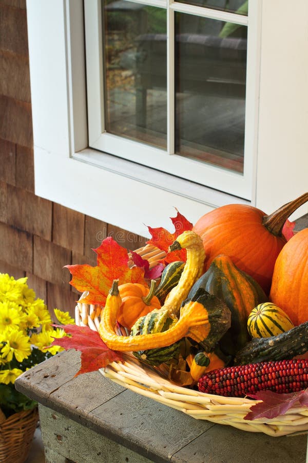 Colorful Autumn Collection of Gourds on a Table Ou Stock Image - Image ...