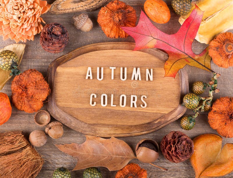 Fall objects 1 stock image. Image of fall, pumpkin, smile - 322923