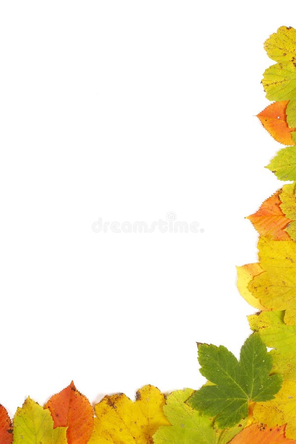 Autumn corner stock image. Image of decor, leafy, autumn - 3605931