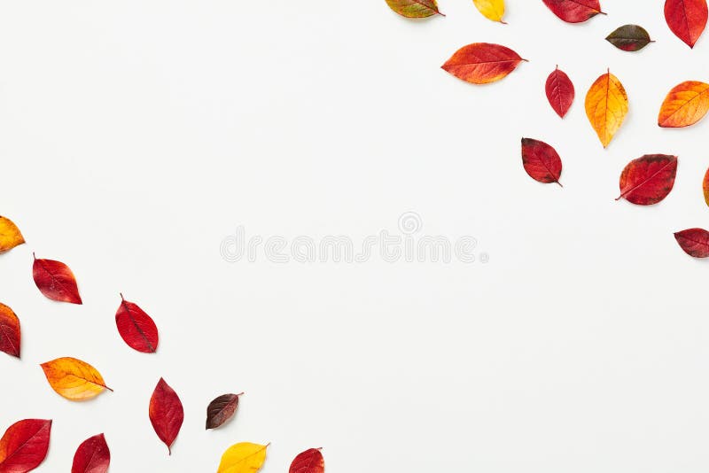 Colorful Autumn Fall Leaves Frame Corners Isolated on White Background ...