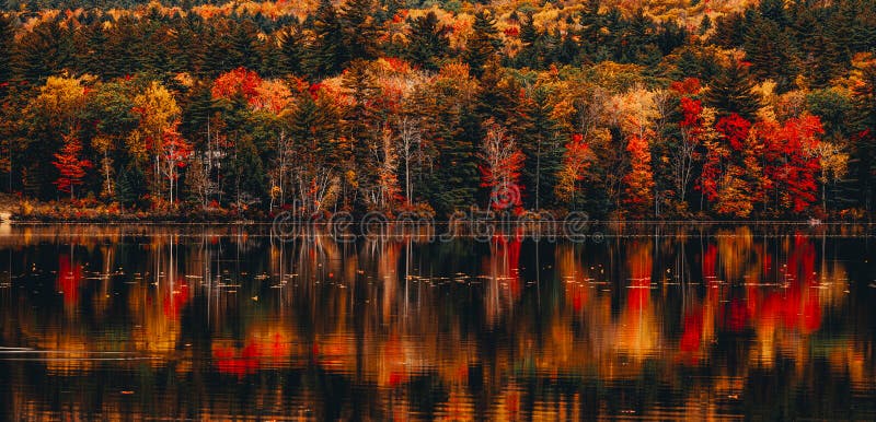 Colorful Autumn Forest Reflection on the Lake Stock Photo - Image of ...