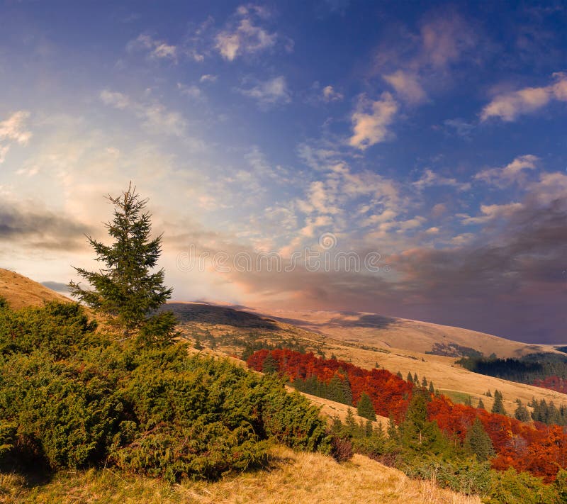 Colorful autumn landscape stock image. Image of beech - 21373199