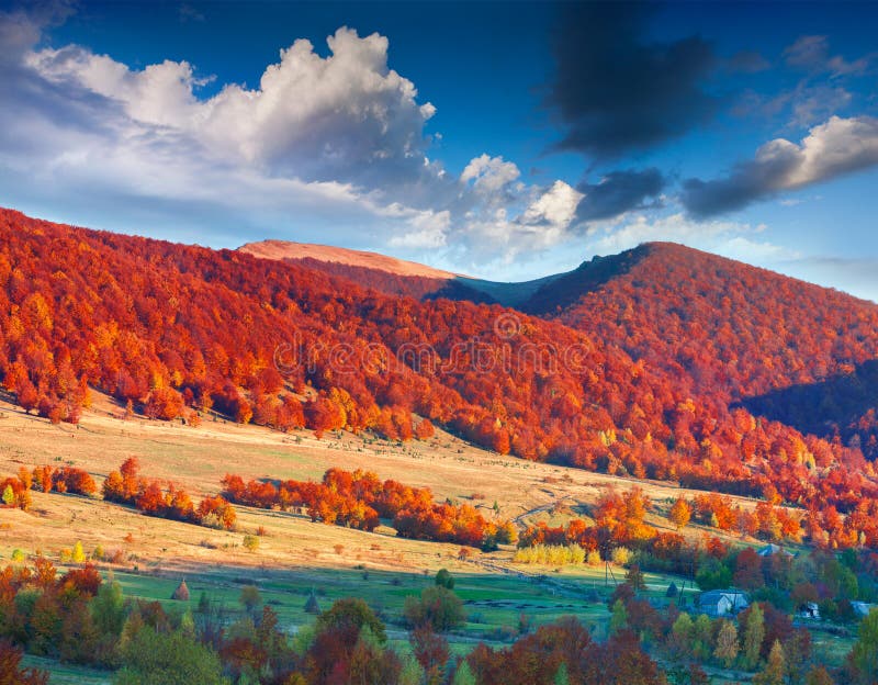 Colorful autumn landscape stock photo. Image of mountain - 22142294