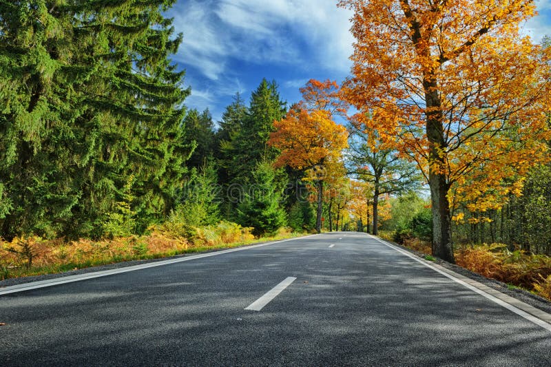Colorful Autumn Landscape with Road Stock Photo - Image of bitumen ...