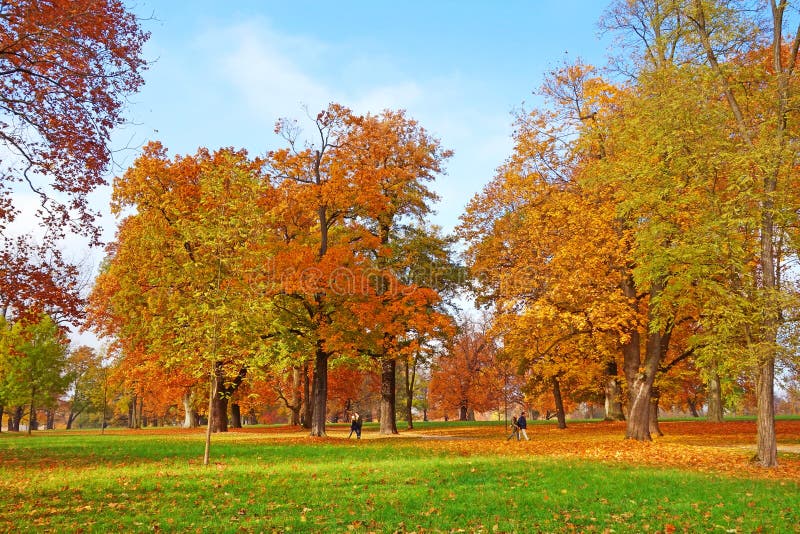Colorful autumn landscape stock image. Image of crowns - 62086189
