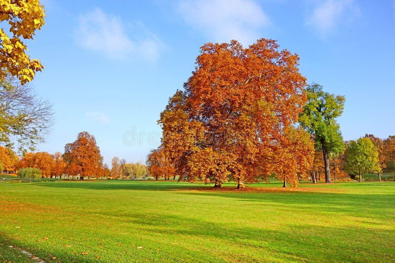 Colorful autumn landscape stock photo. Image of light - 62088954