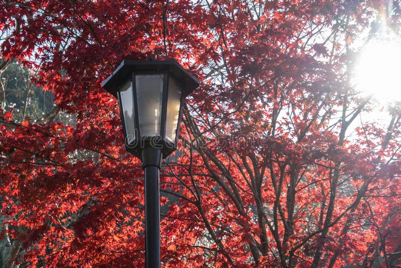 Leaf Lamp of Haridwar India Stock Image - Image of diya, hinduism ...