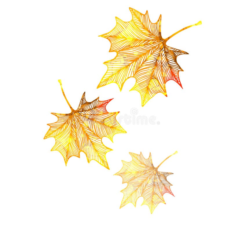 Colorful Autumn Leaf. Maple Yellow Leaf. Mixed Media. Vector ...