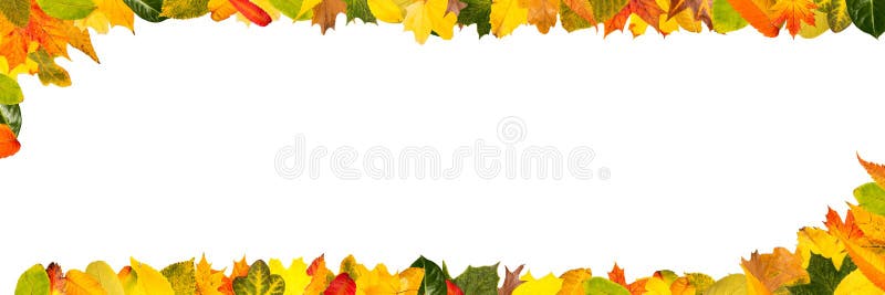 Colorful Autumn Leaves As a Frame for Header Banners Stock Image ...