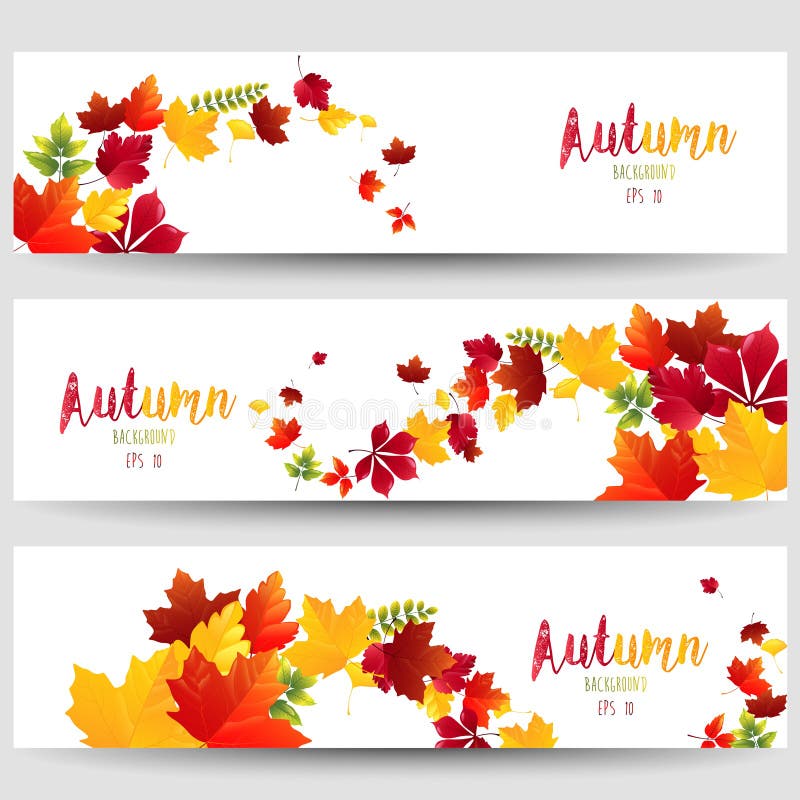 Colorful Autumn Leaves Of Banners Stock Vector Illustration Of