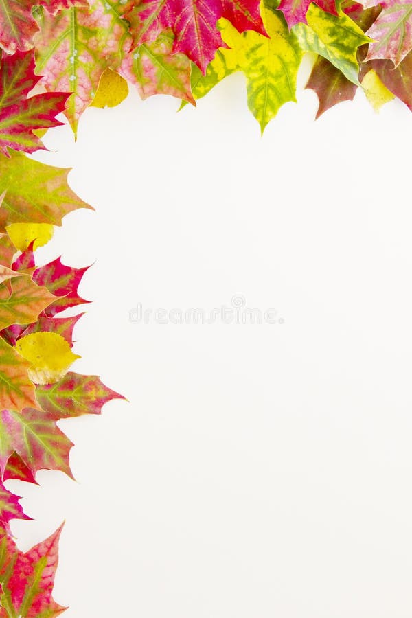 37+ Vertical autumn border Free Stock Photos - StockFreeImages