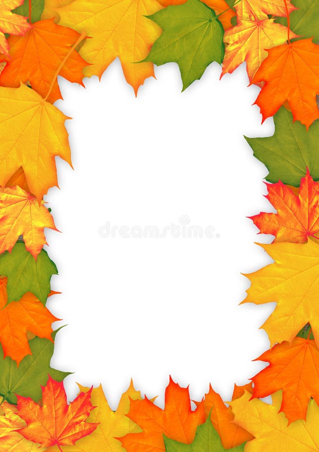 Colorful Autumn Leaves Frame Stock Image - Image of green, full: 26666783