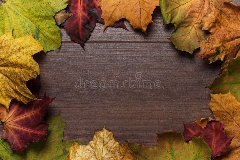 Colorful Autumn Leaves Frame Stock Image - Image of framework, copy ...