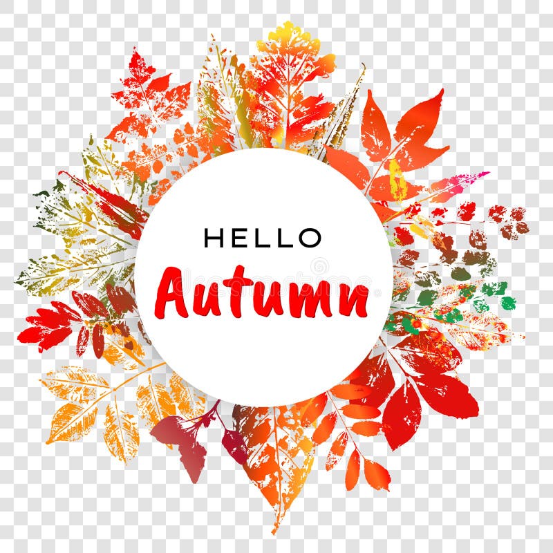 Colorful Autumn Leaves Frame on Transparent Background. Vector ...