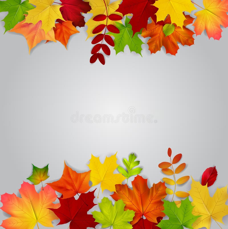 Colorful Autumn Leaves on Gray Background Stock Vector - Illustration ...
